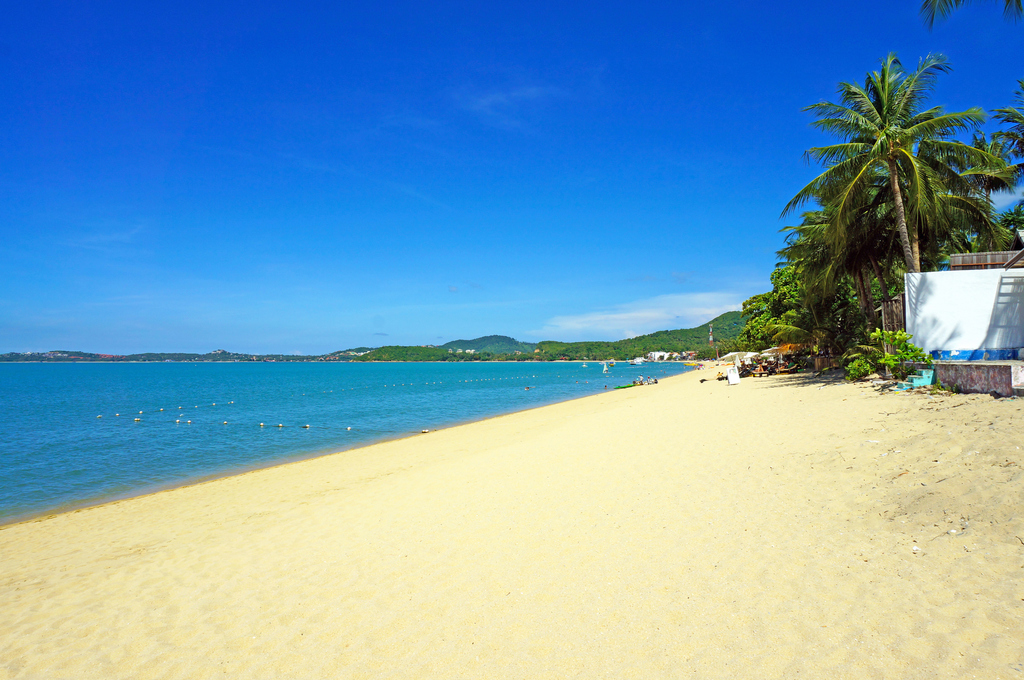 12 Best Villas In Bophut, Koh Samui With Beach Access | Trip101