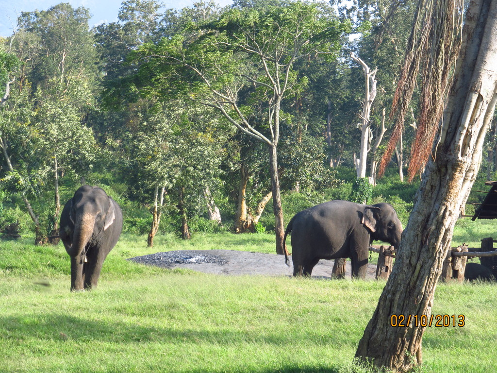 8 Things To Do In Mae Rim, Thailand - Updated 2020 | Trip101