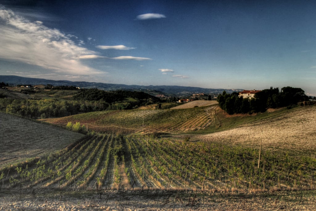 7 Great Wine Tours To Fully Enjoy Florence And Tuscany! | Trip101