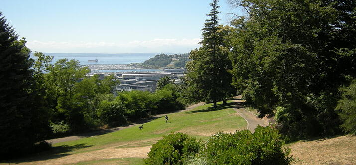 31 Best Things To Do In Queen Anne, Seattle, Washington - Updated 2024 ...