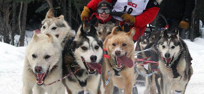 Top 10 Festivals In Alaska, USA | Trip101