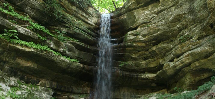 10 Best Hiking And Trekking Spots In Illinois, USA | Trip101