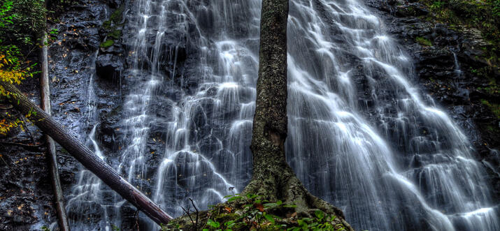 Top 11 Waterfall Hikes In North Carolina, The US - Updated 2024 | Trip101