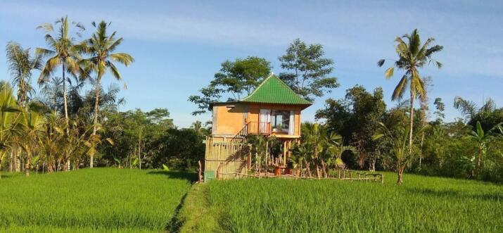 10 Best Farm Stays In Bali, Indonesia - Updated 2024 | Trip101