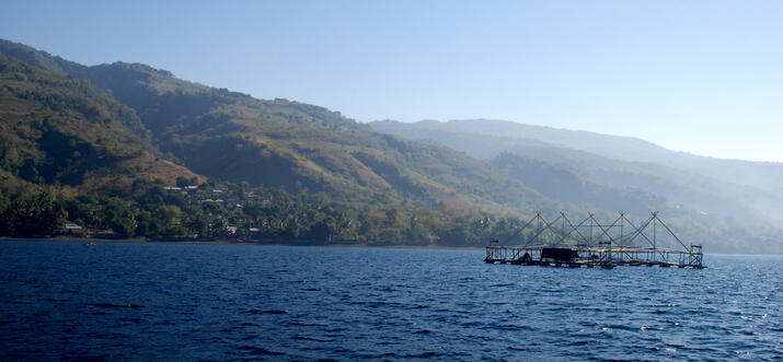 Top 3 Dive Resorts In Alor Island, Indonesia | Trip101