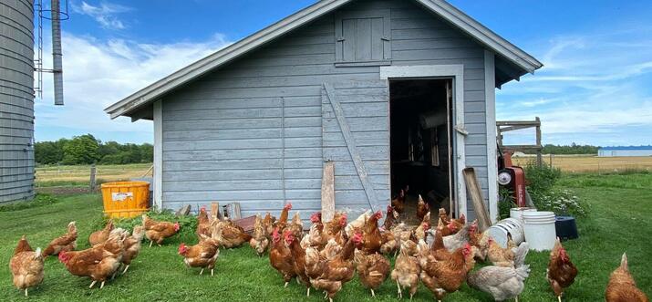 Top 10 Ranches To Stay In Wisconsin, USA - Updated 2024 | Trip101