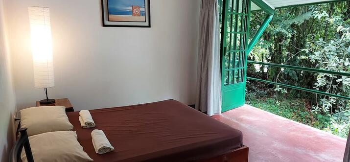 10 Best Pet-Friendly Airbnbs In Costa Rica - Updated 2024 | Trip101