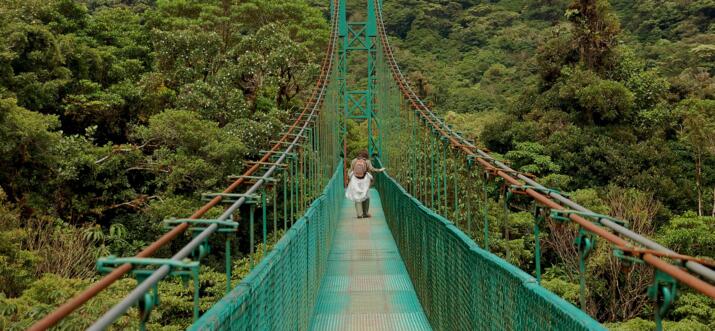 10 Best Forest Canopy Walkways In The World | Trip101
