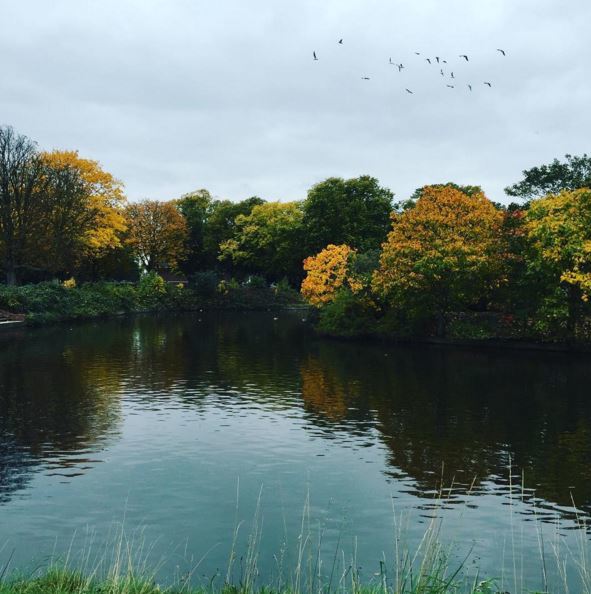 Enjoy Great British Nature At Goodmayes Park, Greater London | Trip101