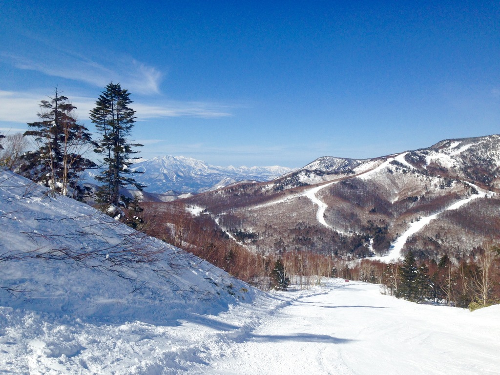Japanese Alps: Snow Monkeys And Skiing In Nagano, Japan | Trip101