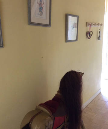 Top 10 Airbnb Vacation Rentals In Issigeac, France | Trip101