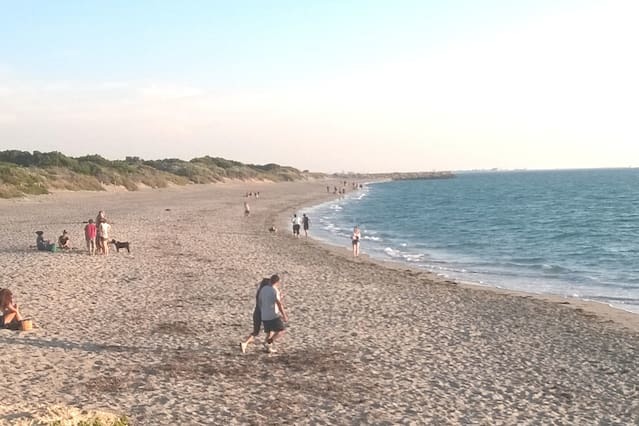 Top 10 Airbnb Vacation Rentals In Beaconsfield, Australia | Trip101