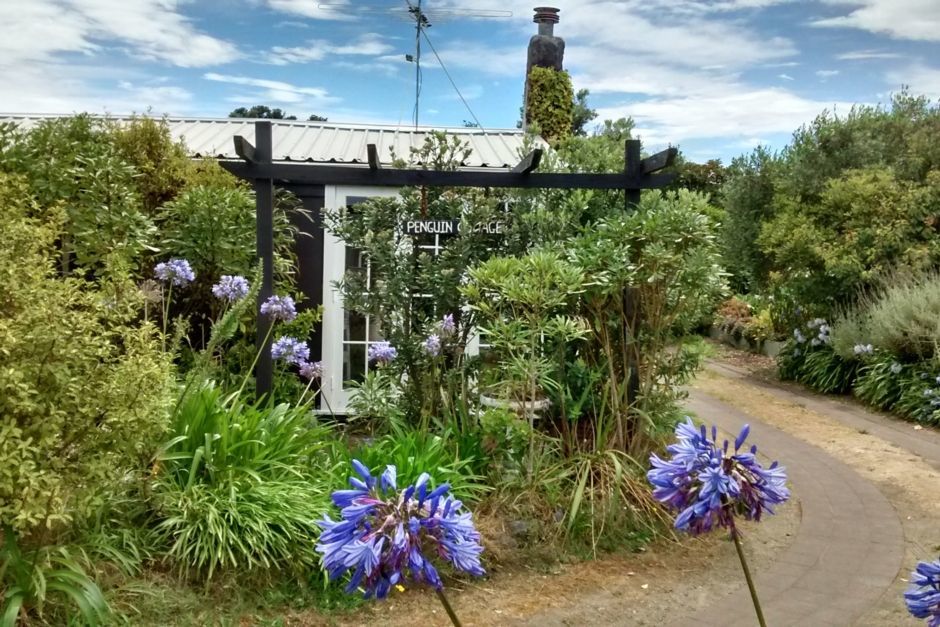 10 Handpicked Bookabach Holiday Homes In Waikanae, New Zealand | Trip101