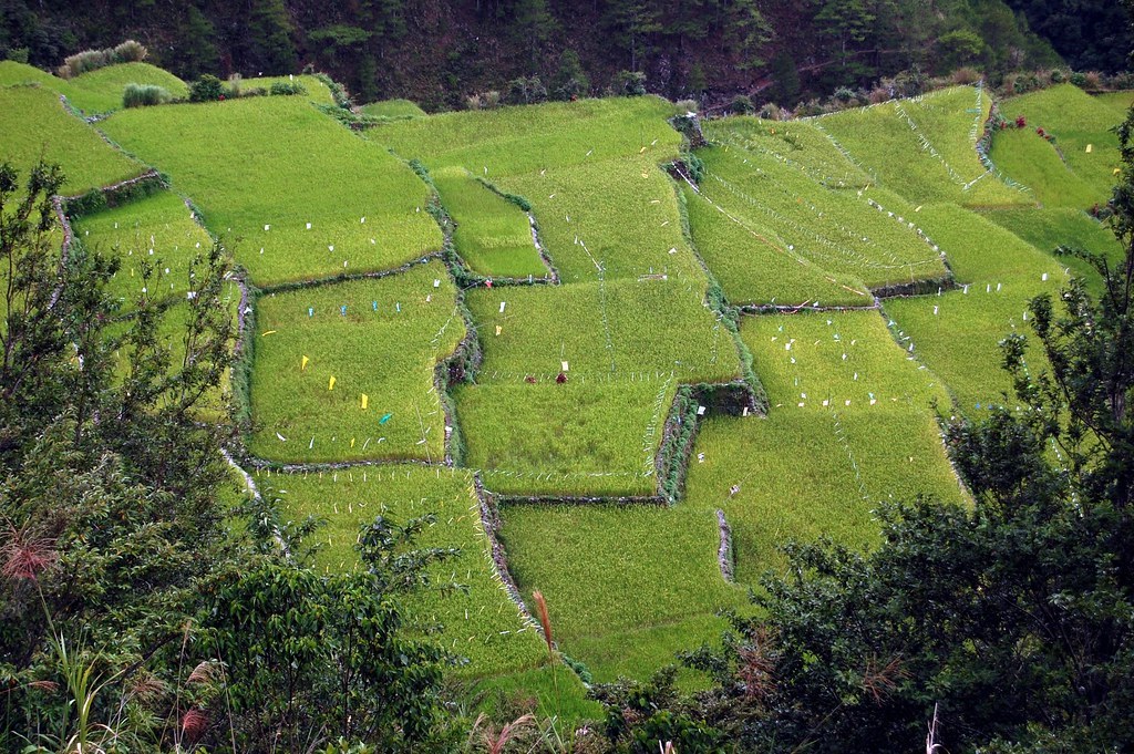 11 Best Weekend Trips From Manila, The Philippines - Updated 2025 | Trip101