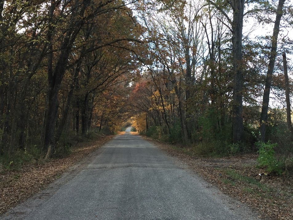 10 Best Hiking And Trekking Spots In Illinois, USA | Trip101