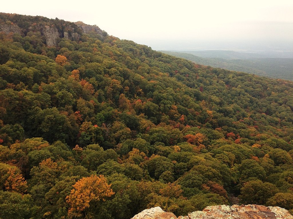 10 Best Scenic Drives In Arkansas, USA | Trip101