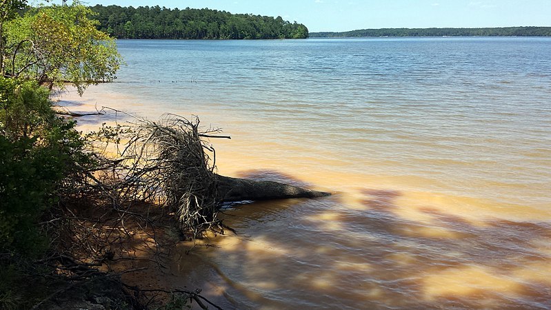 10 Most Gorgeous Lakes In Alabama, The USA | Trip101