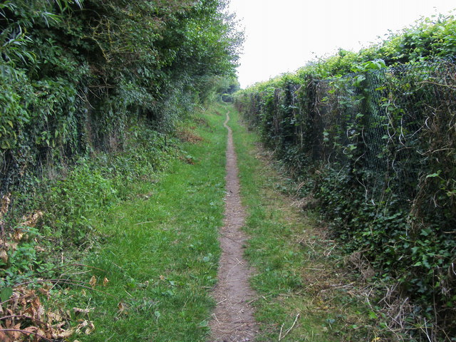 Best Hiking And Trekking Spots In London, England | Trip101