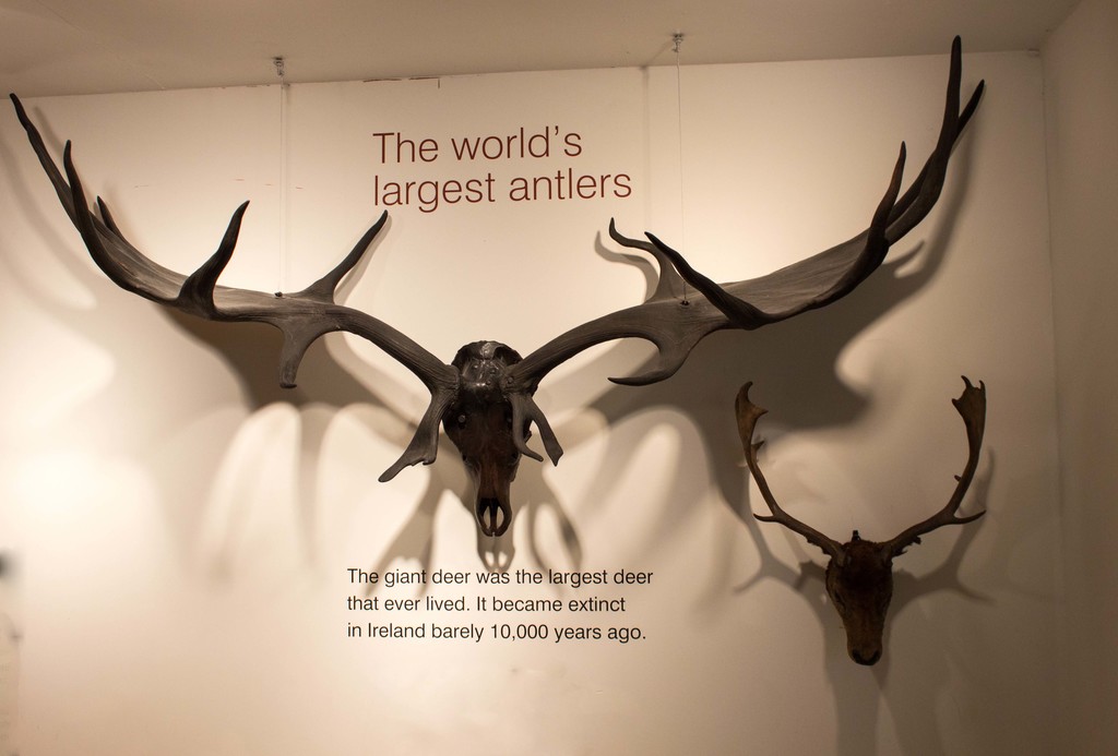 Belfast’s Ulster Museum: Over 2,500 Years Of History | Trip101