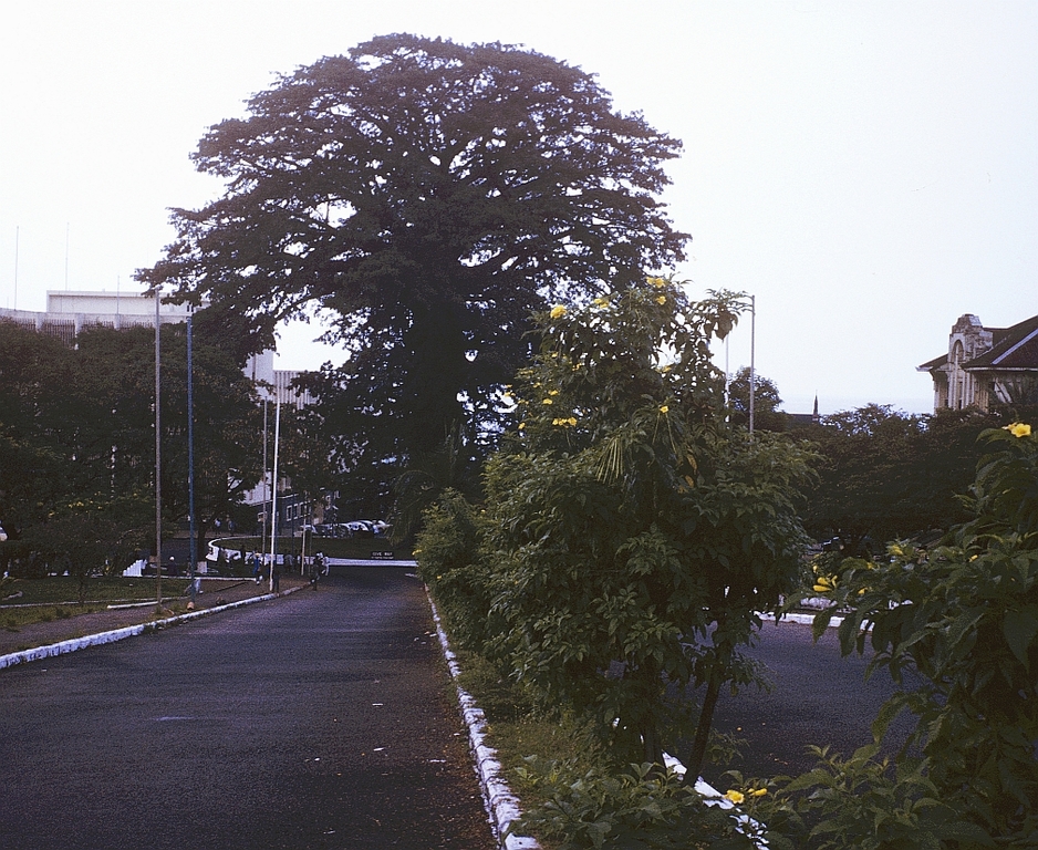 Top 10 Things To Do In Freetown, Sierra Leone | Trip101