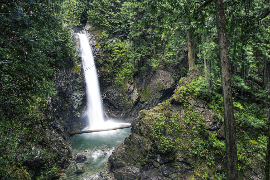 Top 10 Things To Do In Mill Valley, California | Trip101