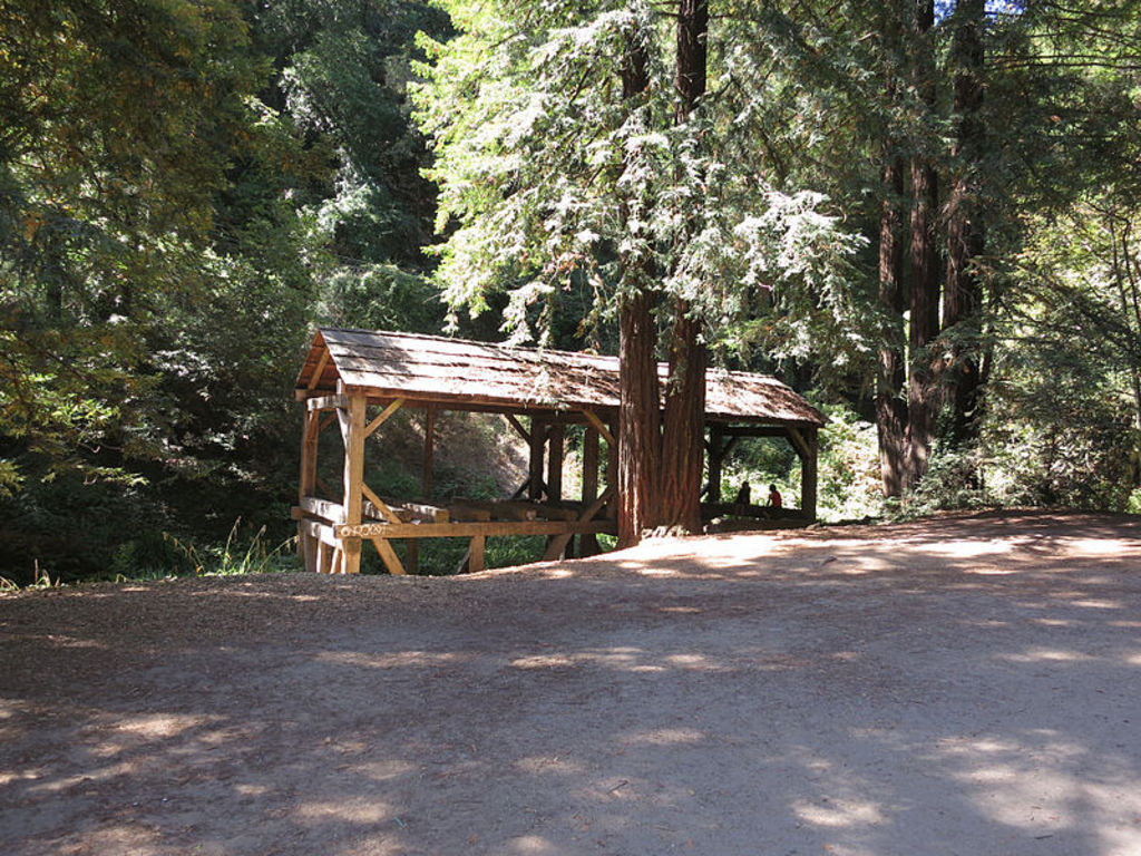 Top 10 Things To Do In Mill Valley, California | Trip101