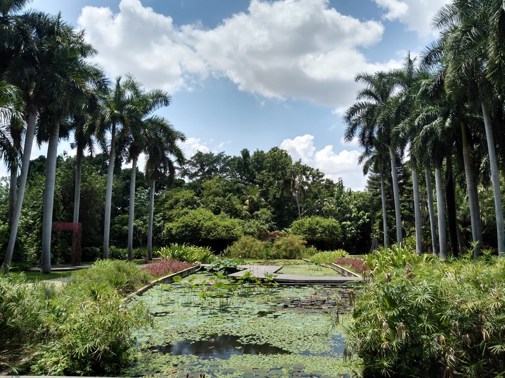 Top 10 Things To Do In Culiacán, Sinaloa, Mexico | Trip101