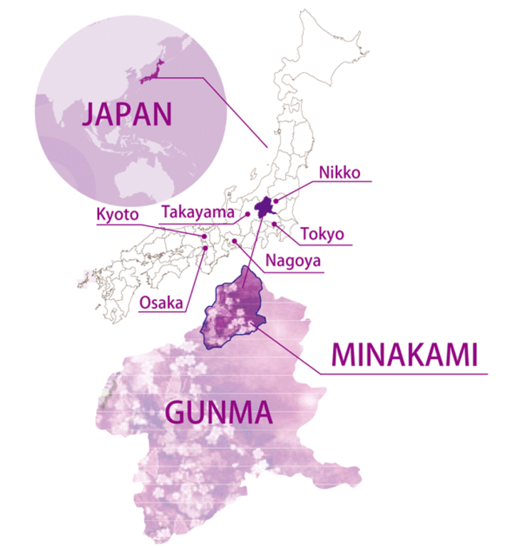 Une journée à Tokyo: le guide complet pour une journée à Nikko | Trip101