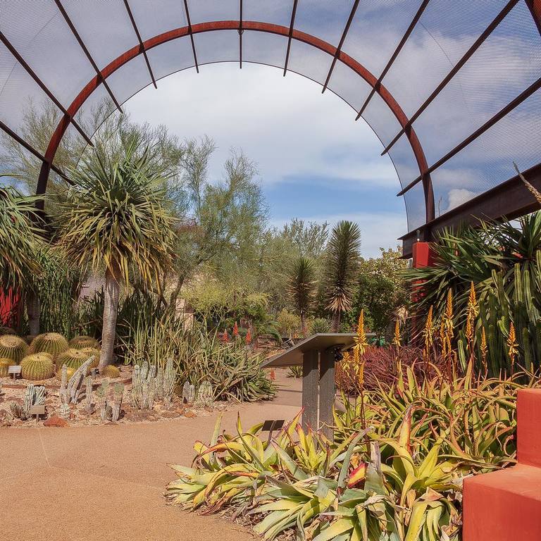 10 Best Things To Do With Kids In Phoenix Arizona Trip101 10-best-things-to-do-with-kids-in-phoenix-arizona-trip101