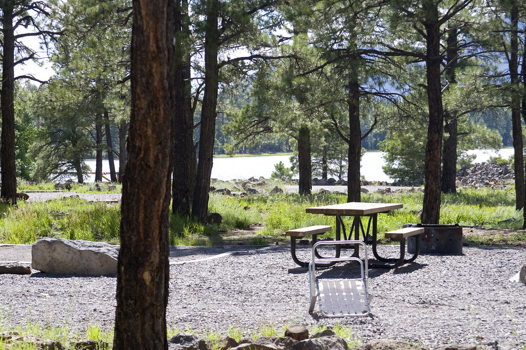 10 Best Campsites In Williams, Arizona | Trip101