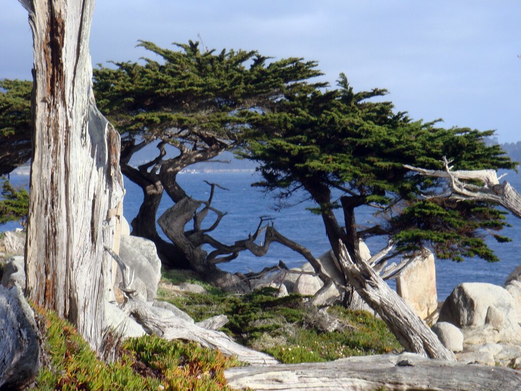 Top 10 Things To Do In Del Monte Forest's Pebble Beach, California ...