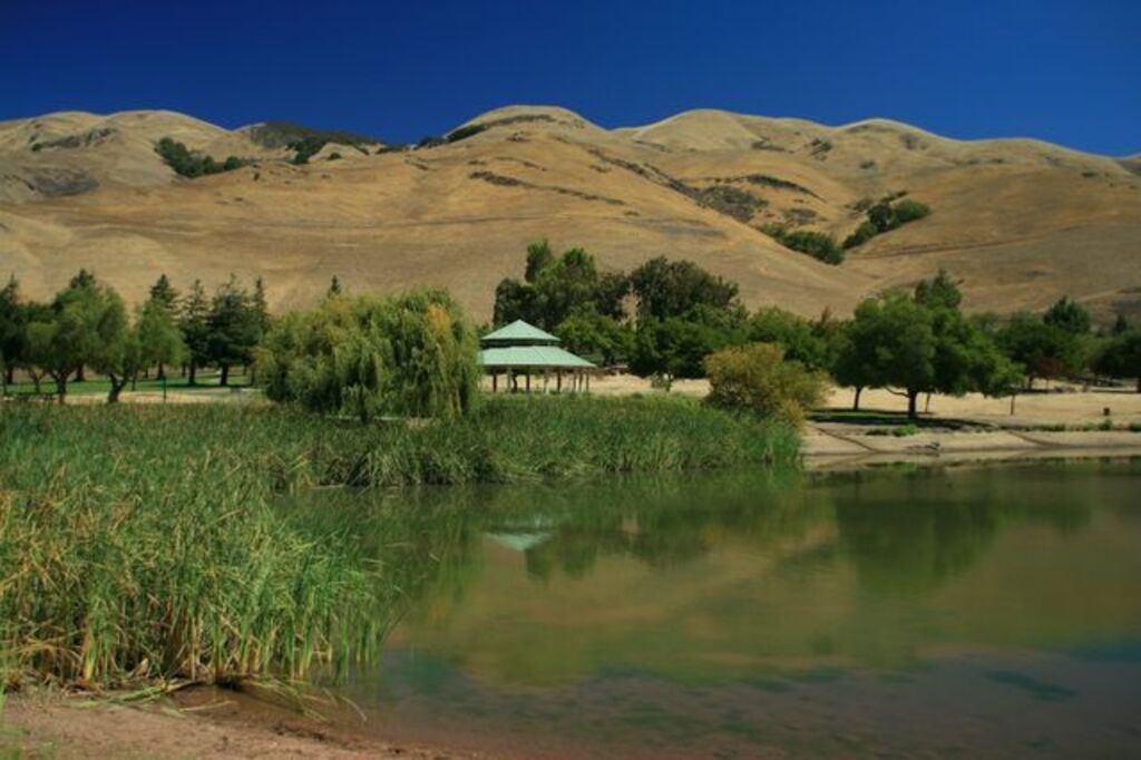 15 Best Things To Do In Milpitas, California | Trip101