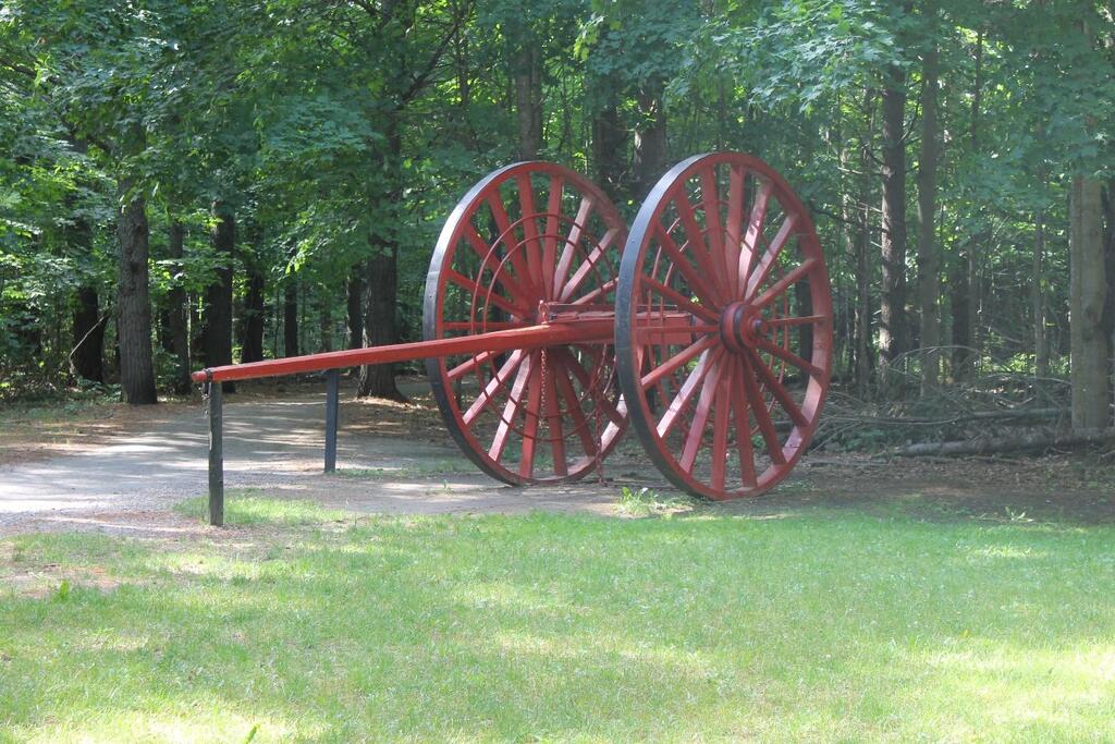 Explore Michigan’s Forest History In Hartwick Pines State Park | Trip101