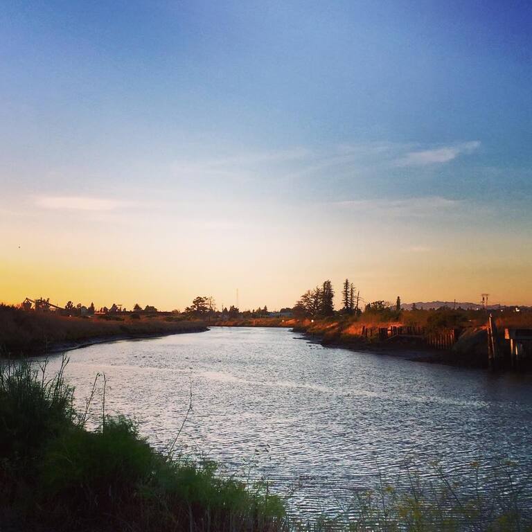 30 Best Things To Do In Petaluma, California | Trip101