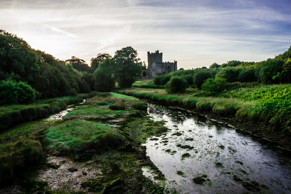 Top 30 Things To Do In Wexford, Ireland | Trip101