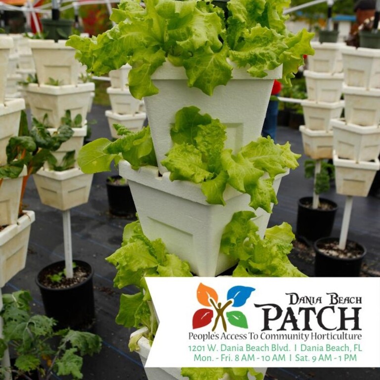 15 Best Things To Do In Dania Beach, Florida | Trip101