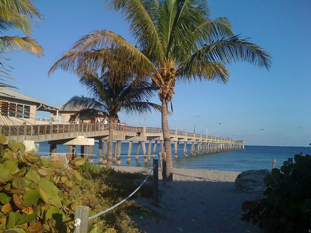 15 Best Things To Do In Dania Beach, Florida | Trip101