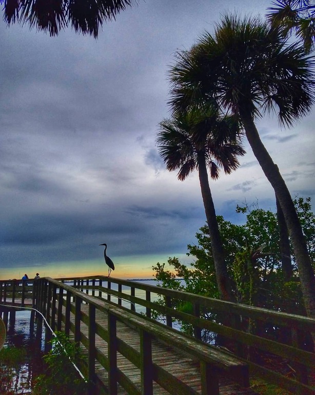 Top 16 Things To Do In Palm Bay, Florida | Trip101