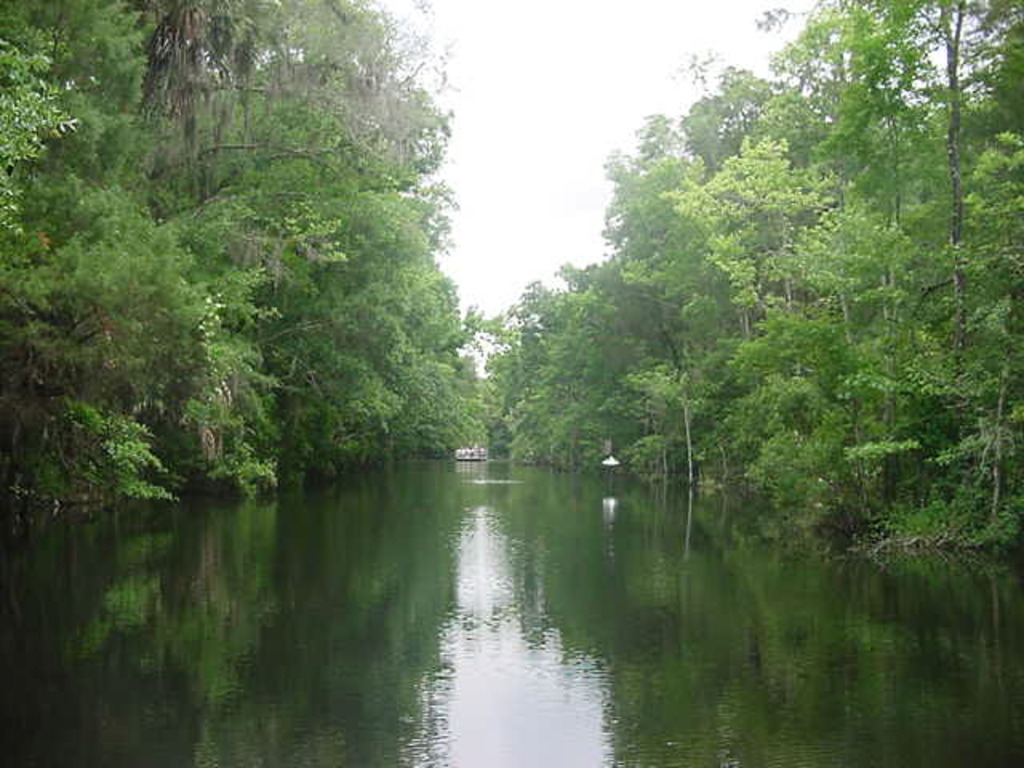 Top 19 Things To Do In Homosassa, Florida | Trip101