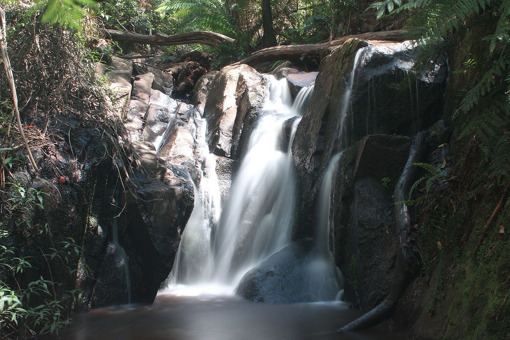 Top 10 Things To Do In Olinda, Australia | Trip101