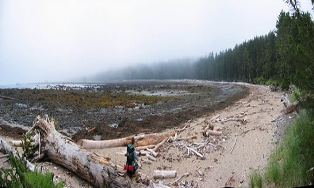 6 Best Camping Spots In Ozette Triangle, Washington | Trip101