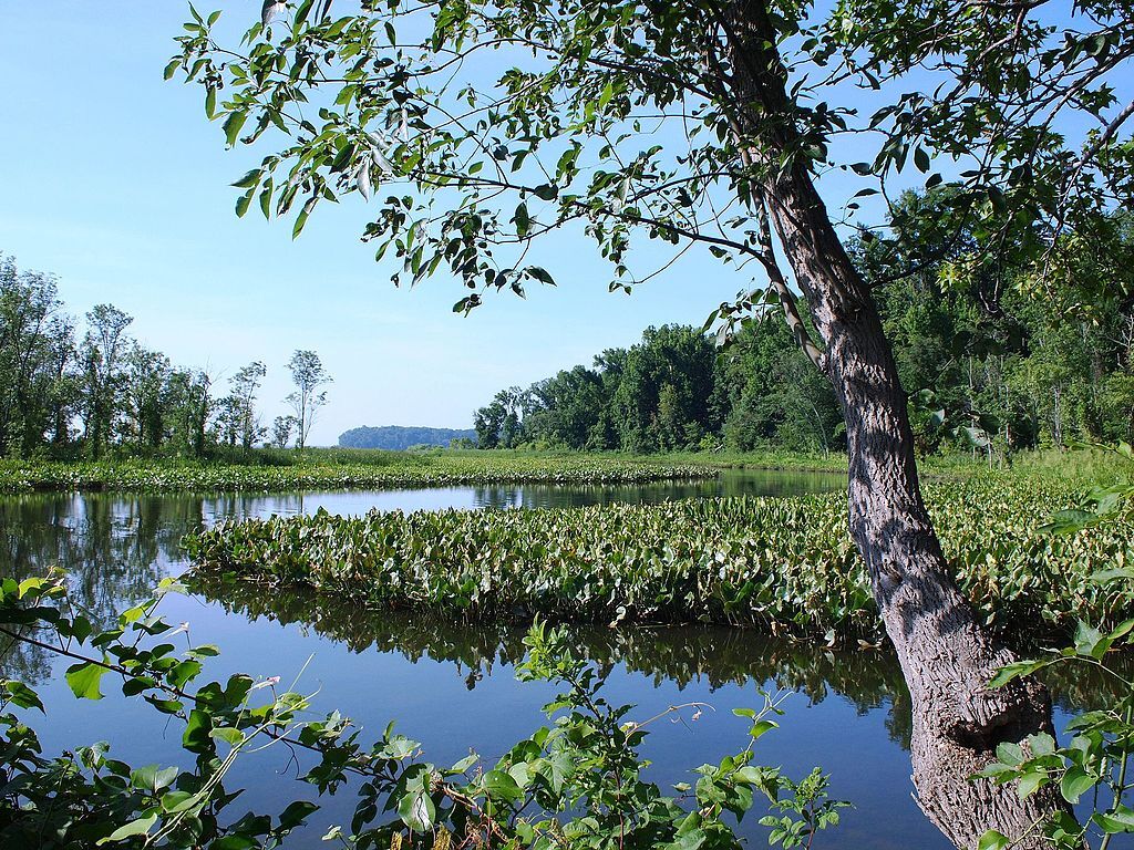 Top 15 Things To Do In Woodbridge, Virginia | Trip101