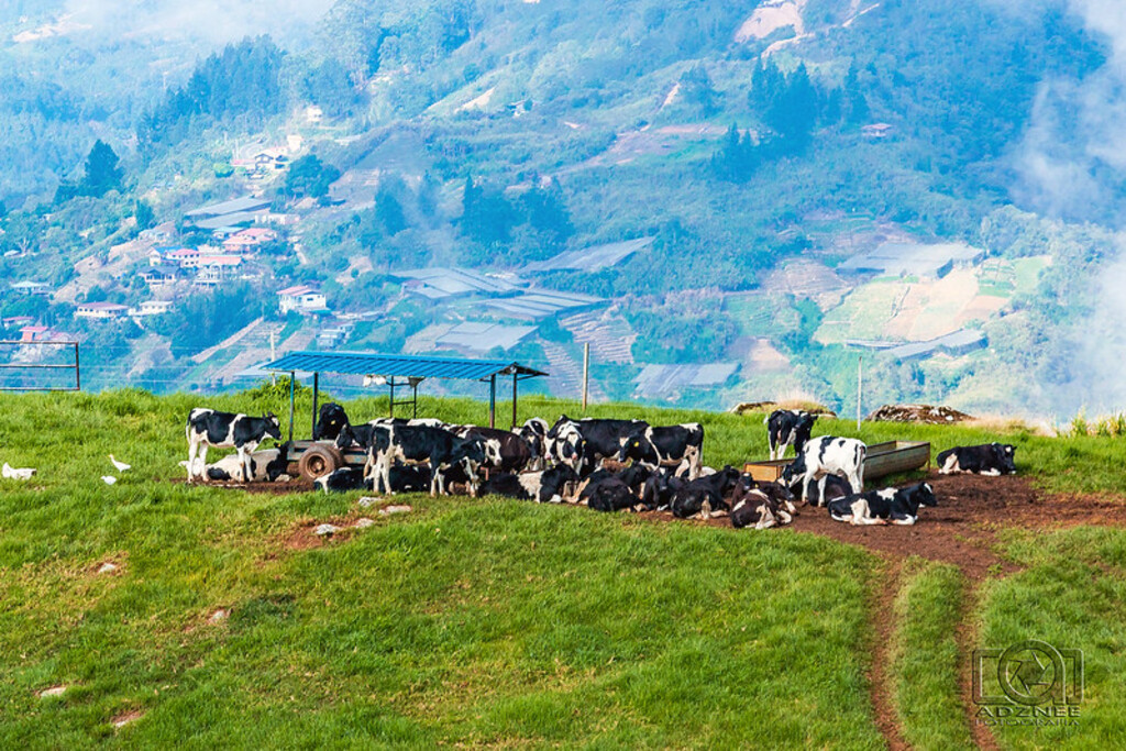 25 Best Things To Do In Sabah, East Malaysia | Trip101