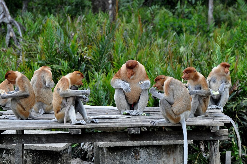 25 Best Things To Do In Sabah, East Malaysia - Updated 2025 | Trip101