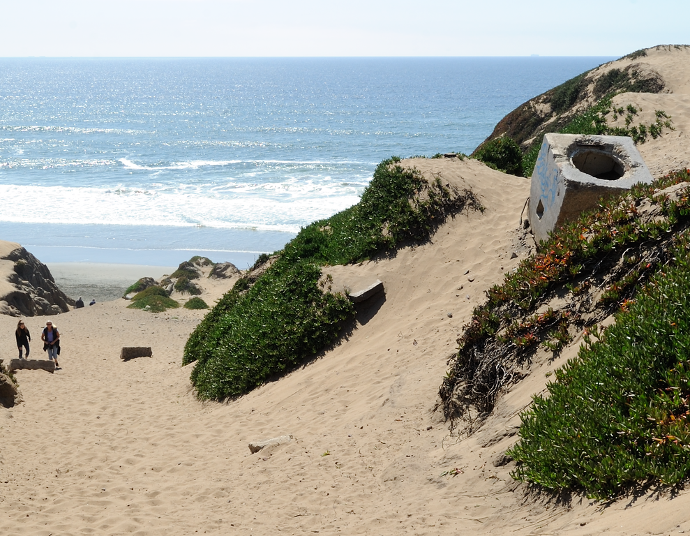 15 Dog-Friendly Beaches In California: More Coast for Your Canine ...