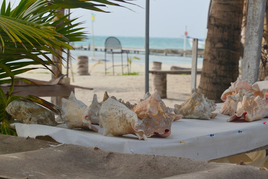 What To Buy In Belize | Trip101