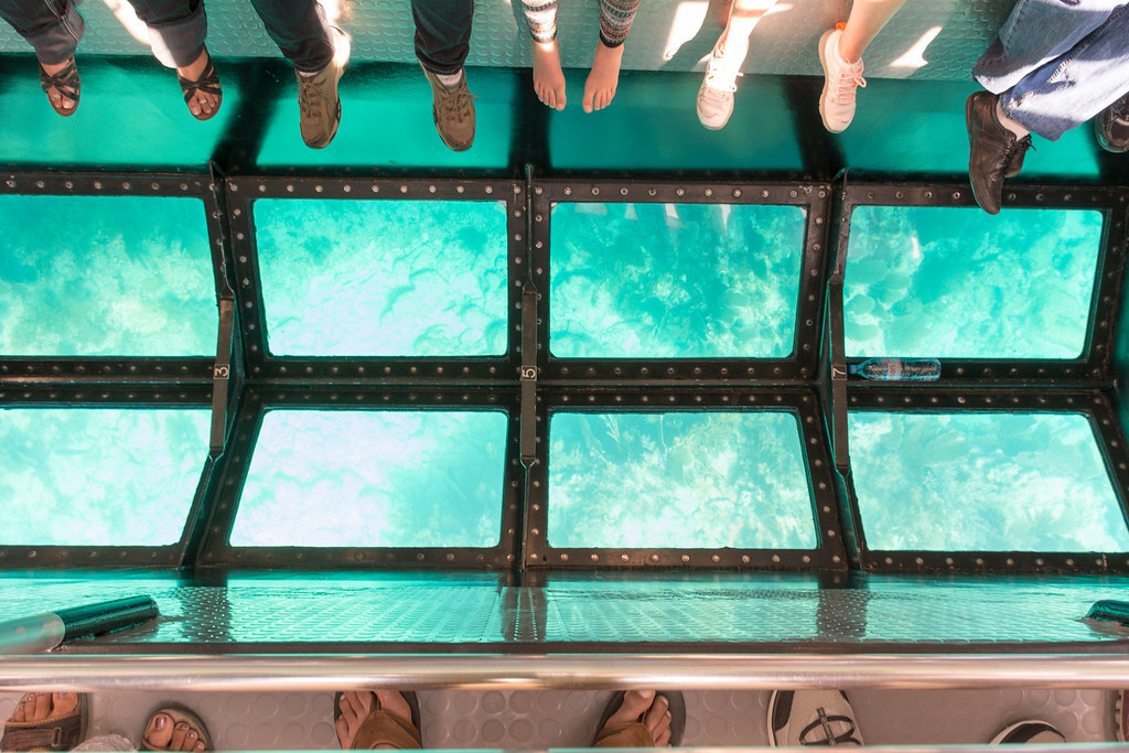 12 Best Things To Do In Placida, Florida: Enjoy The Natural Wonders ...