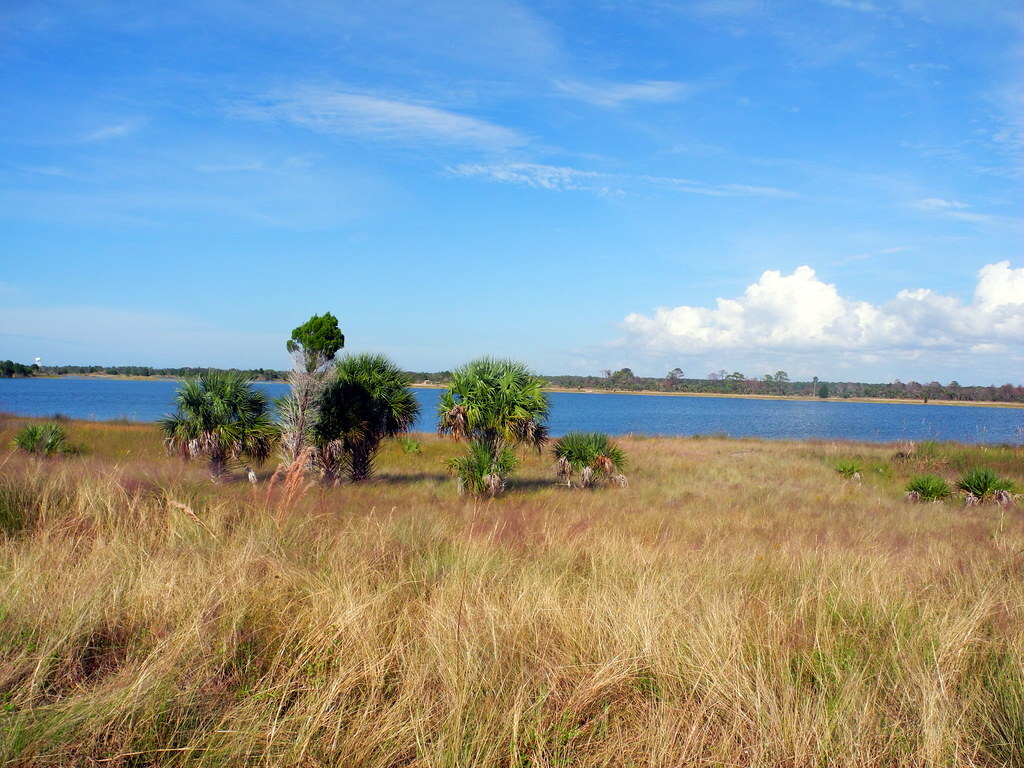 Top 18 Things To Do In Spring Hill, Florida | Trip101