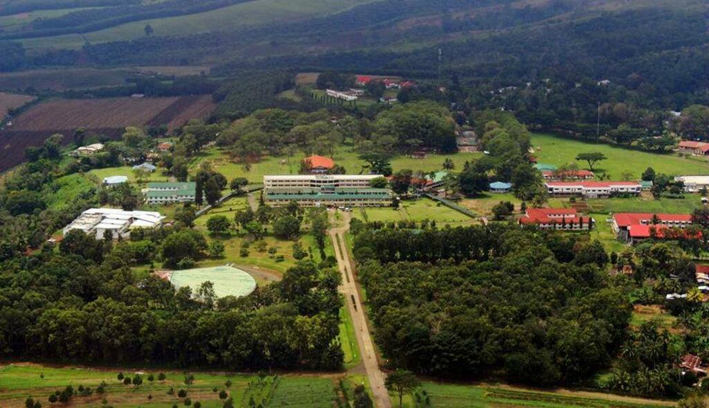 Top 11 Things To Do In Valencia City, Philippines | Trip101