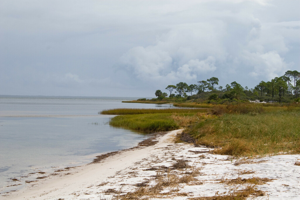 15 Interesting Things To Do In Port Saint Joe, Florida | Trip101